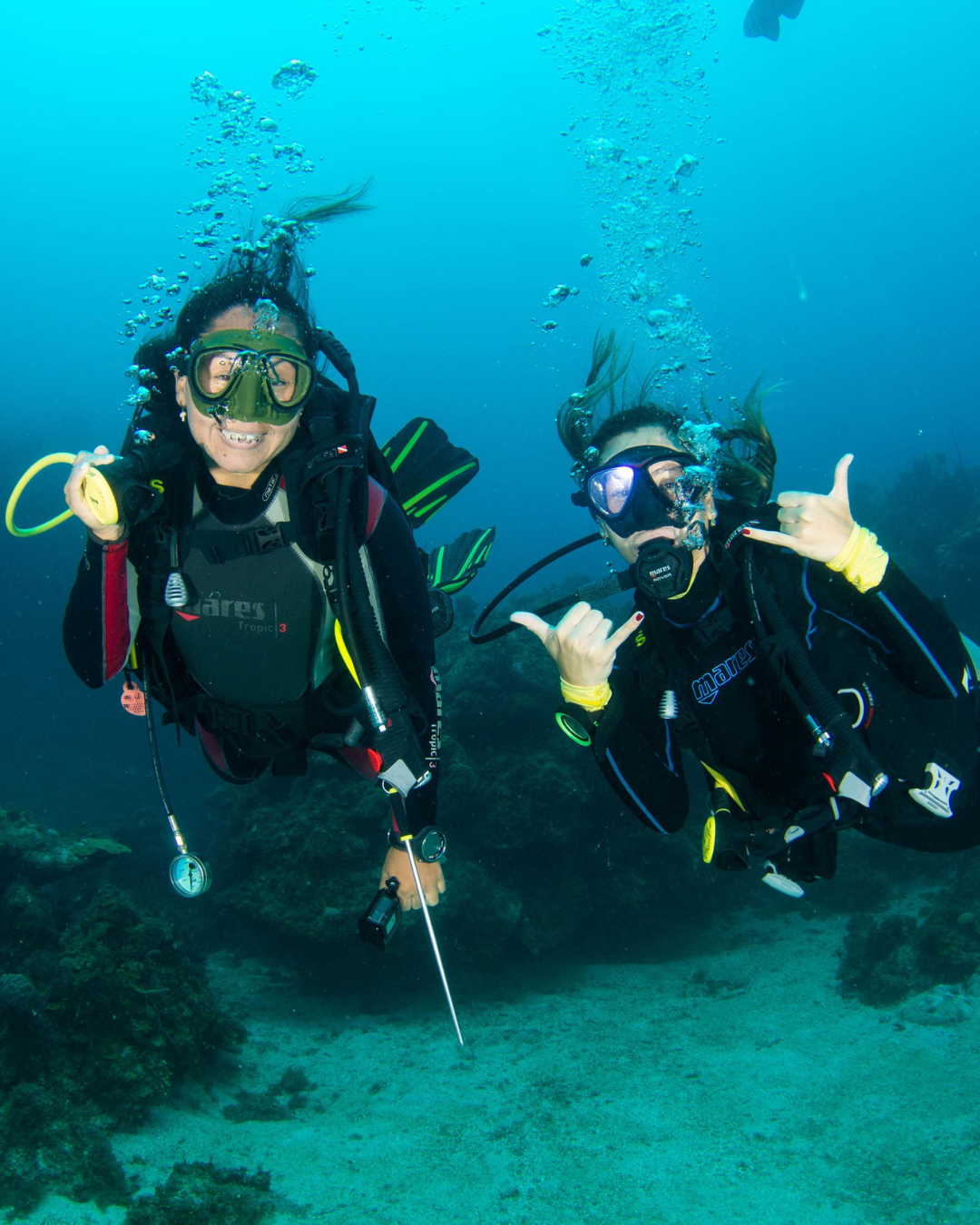 Roatan Dive Package: Fifteen-Tank Exploration - Island Diving Center