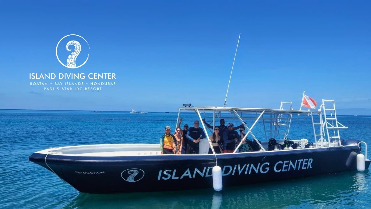 Blog - Island Diving Center